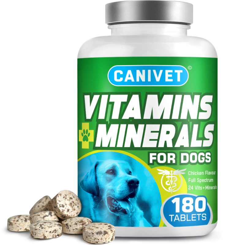 CANIVET Joint Supplements for Dogs | High Quality, All Natural Formula