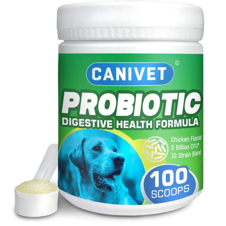 CANIVET Joint Supplements for Dogs | High Quality, All Natural Formula