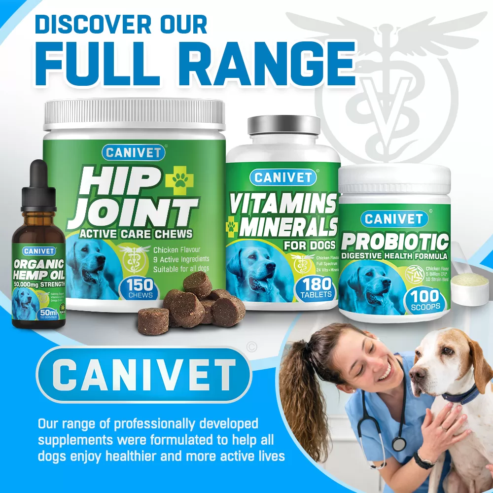 HIP+JOINT ACTIVE CHEWS - CANIVET